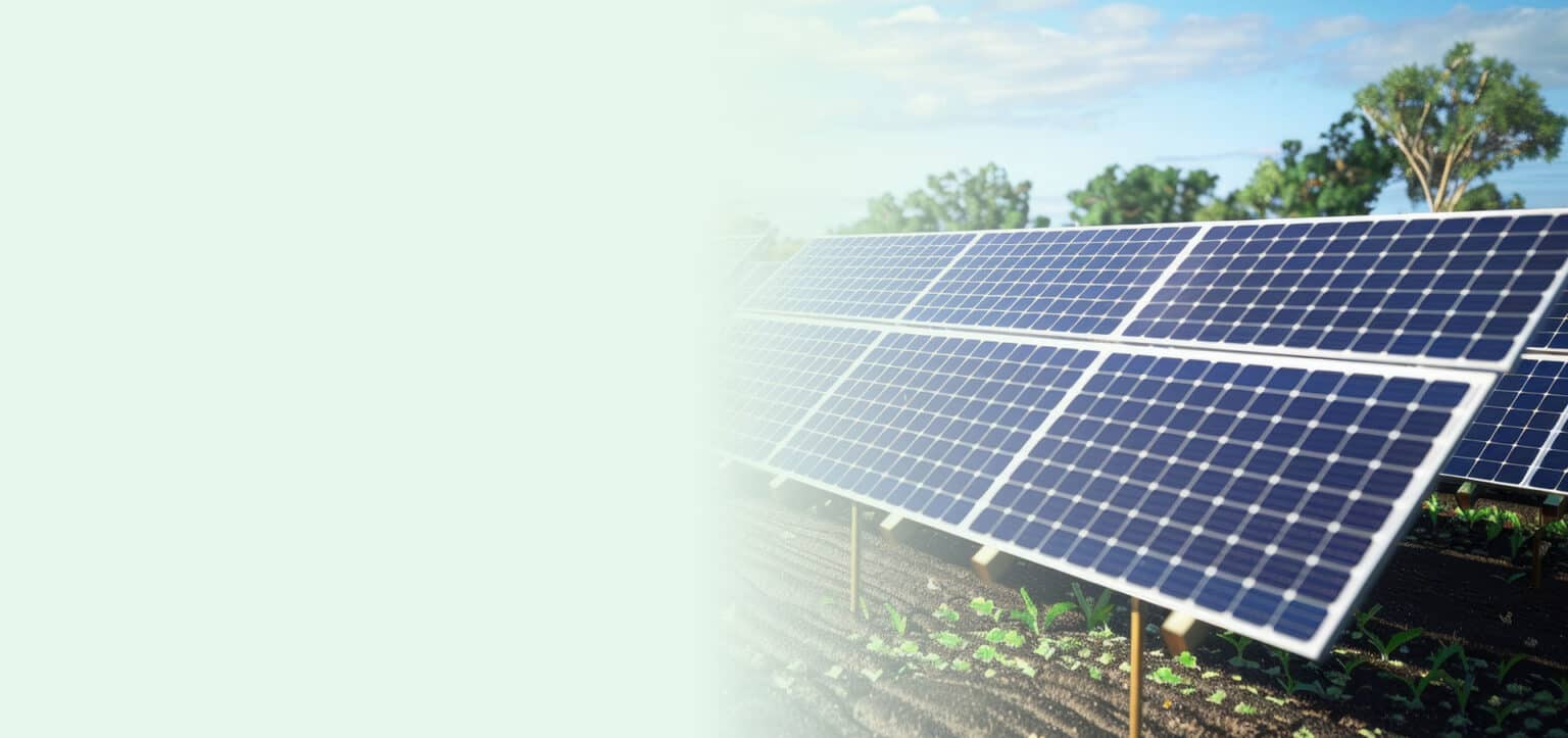 REAP Grant USVI: Solar Funding For Businesses